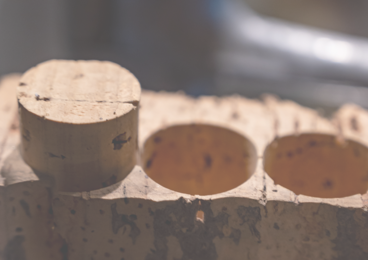 The Origin and History of Cork - Simplified Chronology - JABeira